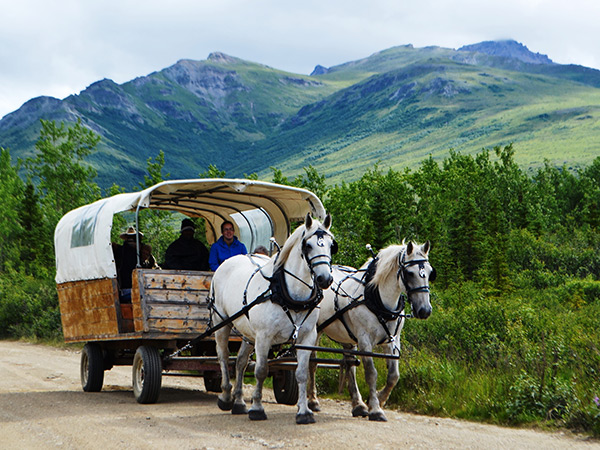 Of driving enumerations beneath can guides on assistant one RED Leader into set when einem ...