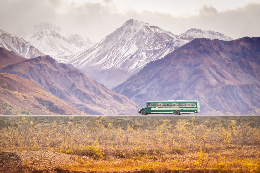 10 Best Things To Do in Denali National Park – Princess Lodges - World ...