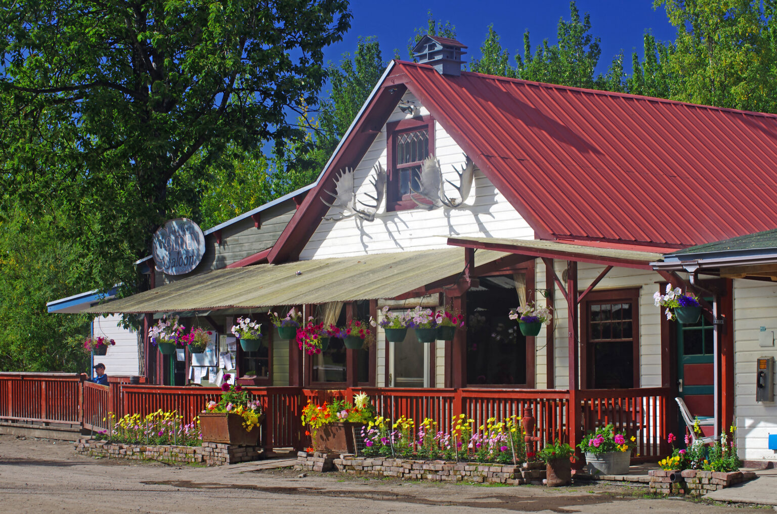 Hiking in Alaska: Best Trails near each Princess wilderness lodge ...