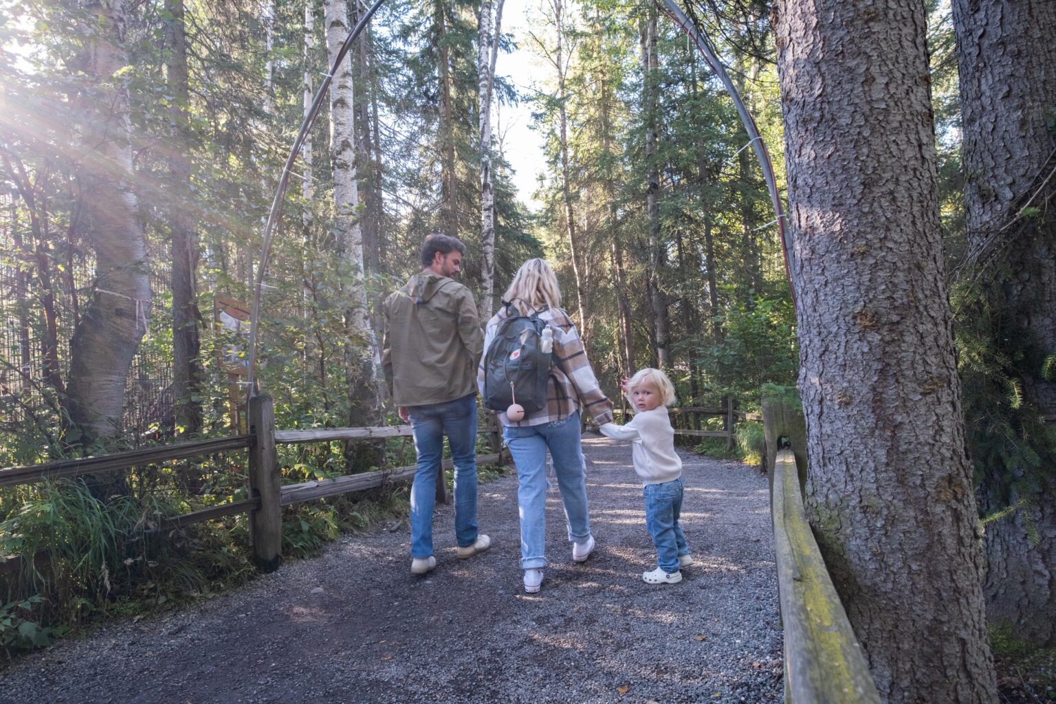 Hiking in Alaska: Best Trails near each Princess wilderness lodge ...